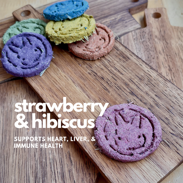 Binky Chips – All-Natural Herbal Treats for Rabbits & Small Pets