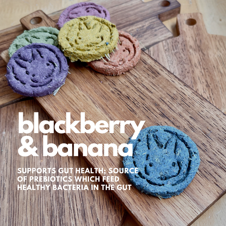 Binky Chips – All-Natural Herbal Treats for Rabbits & Small Pets