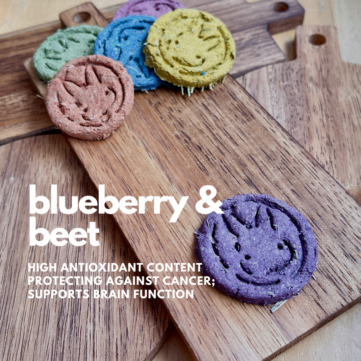 Binky Chips – All-Natural Herbal Treats for Rabbits & Small Pets